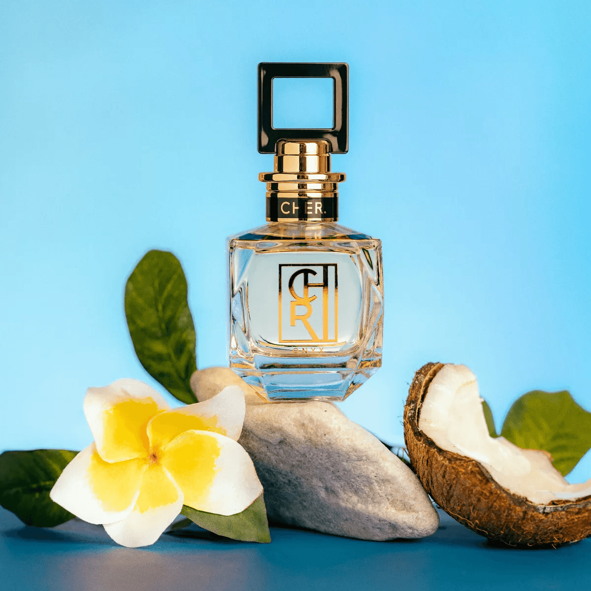 Perfume Mujer Cher Farmaplus Onyx Delight Edp 100ml - FarmaPlus