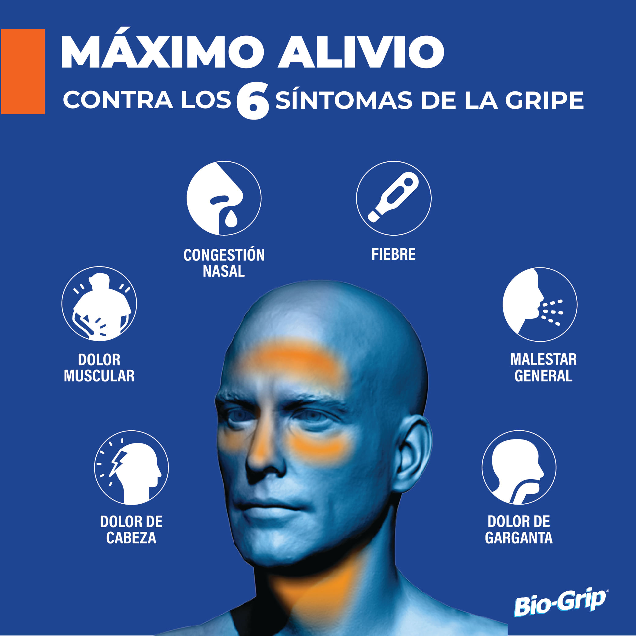 BioGrip Farmaplus Té Descongestivo Antigripal 5 sobres - FarmaPlus