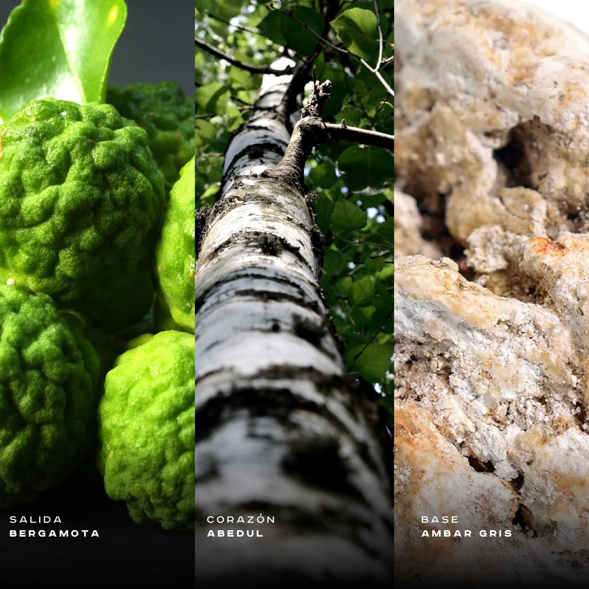 Perfume Hombre Armaf en Farmaplus Club De Nuit Intense Edt 105ml ...